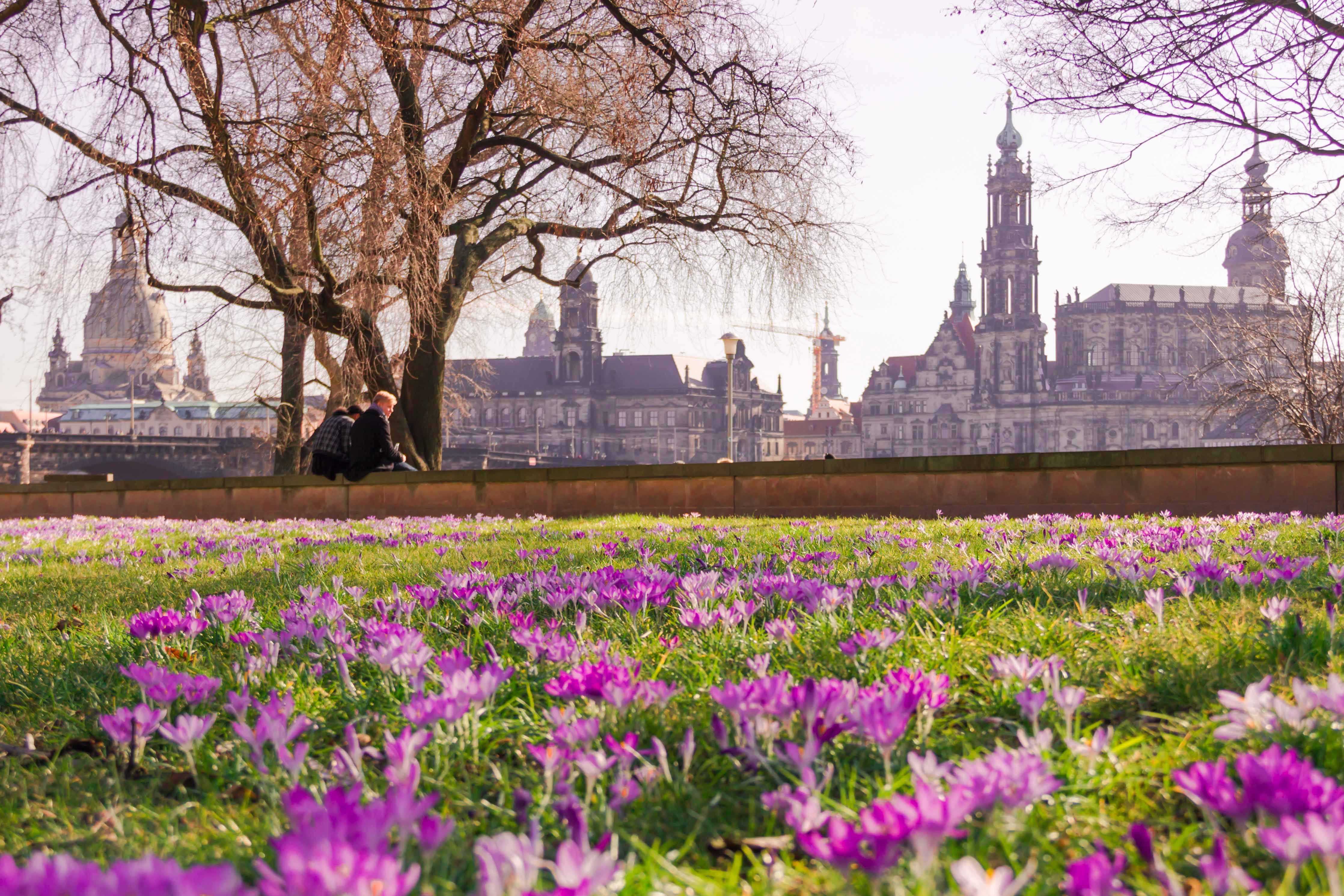 Fotos Dresden und Umgebung | einmalige und aussergewöhnliche Bilder
